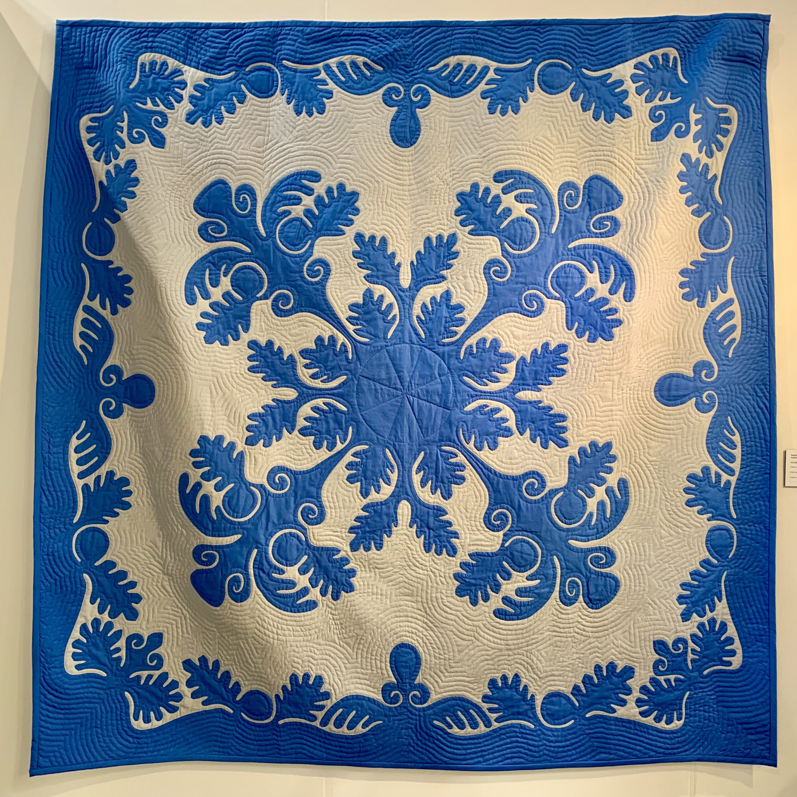 Pippa Moss - Meet the Artist - Arnolds Attic Pippa Moss - Meet the Artist